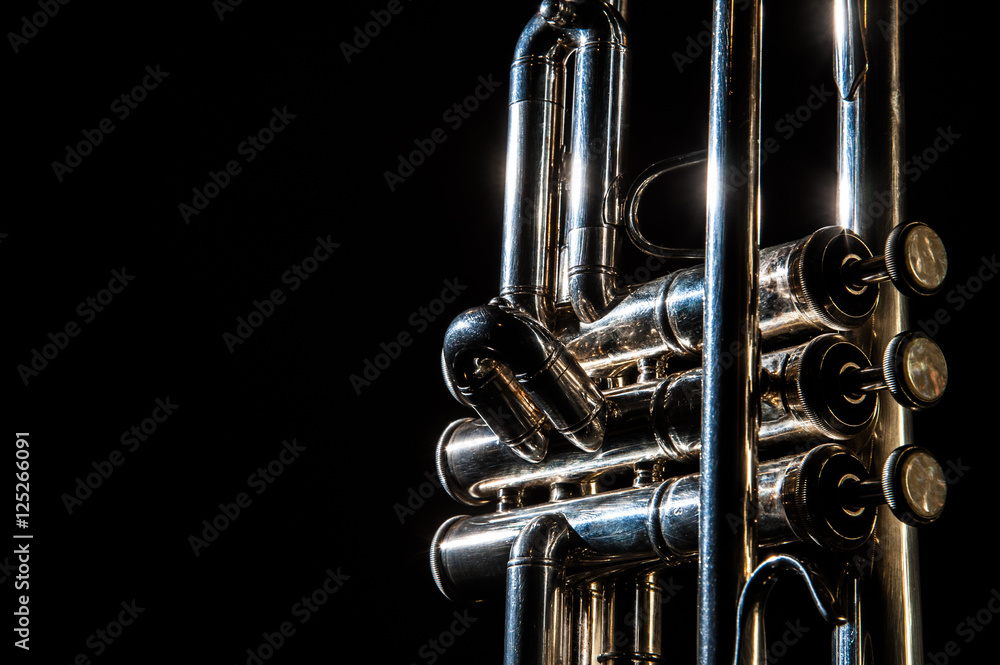 trumpet, wind instrument / lonely musical instrument which is a trumpet ...