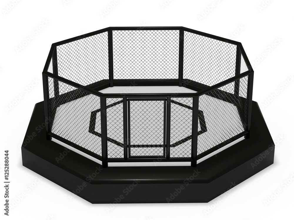 Octagon cage front view Stock Illustration | Adobe Stock