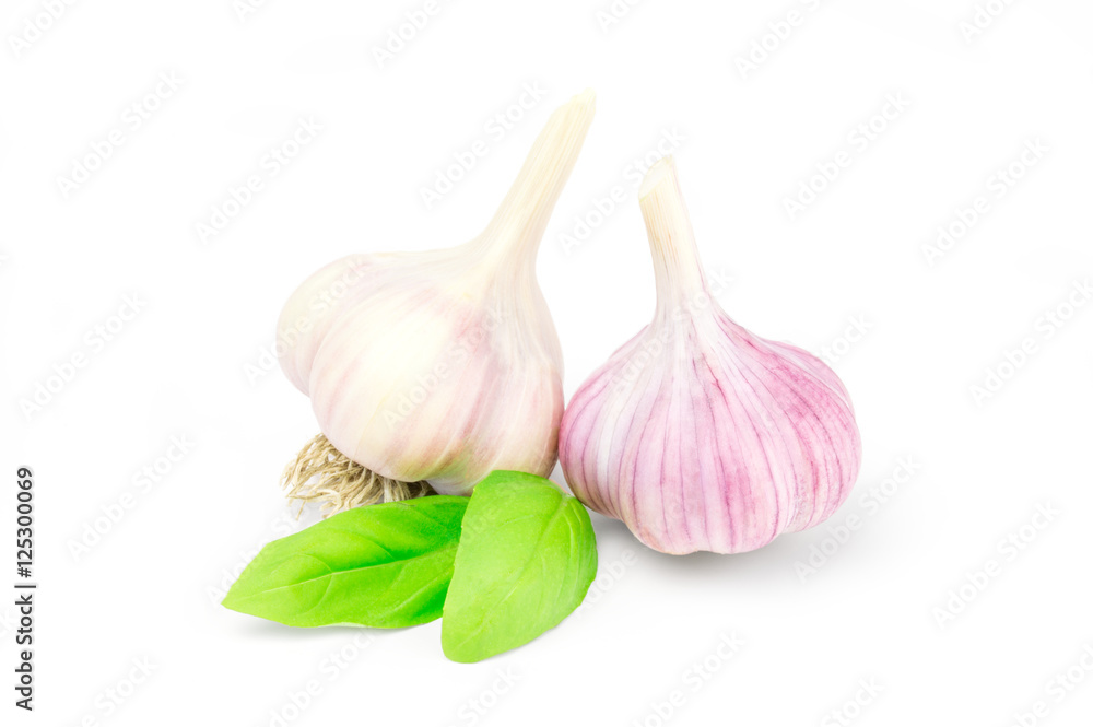 Two heads garlic isolated on white background Stock Photo | Adobe Stock