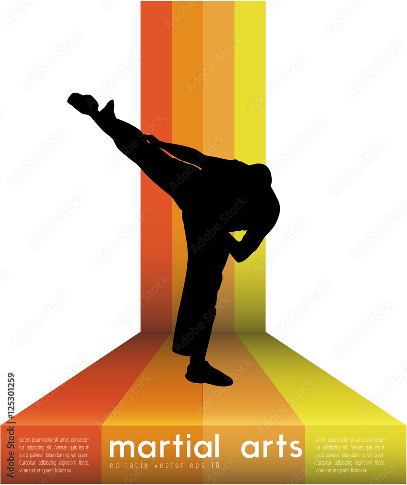 Vector of karate Stock Vector | Adobe Stock
