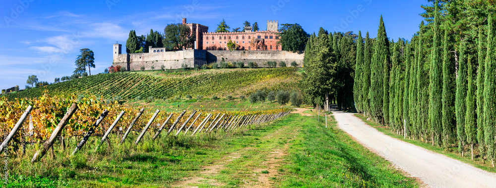Castello di Brolio with biggest wineyards in Chianti region of Tuscany ...