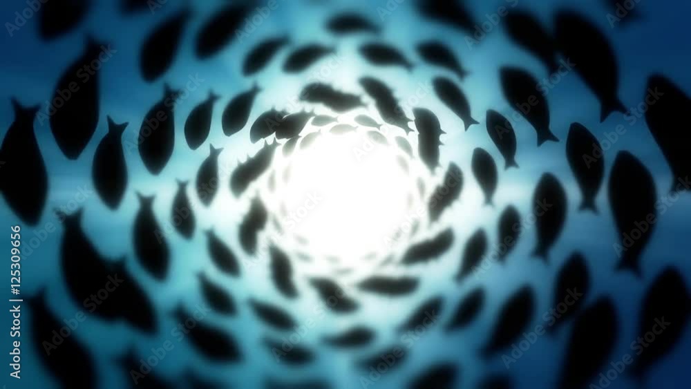 Illustration of a Group of Fish Swimming in Circle Stock Video | Adobe ...