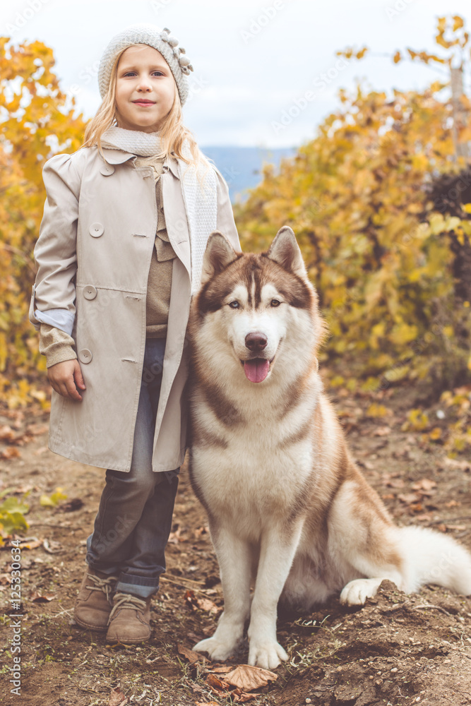 Pretty girl is walking with husky dog in vineyards Stock Photo | Adobe ...