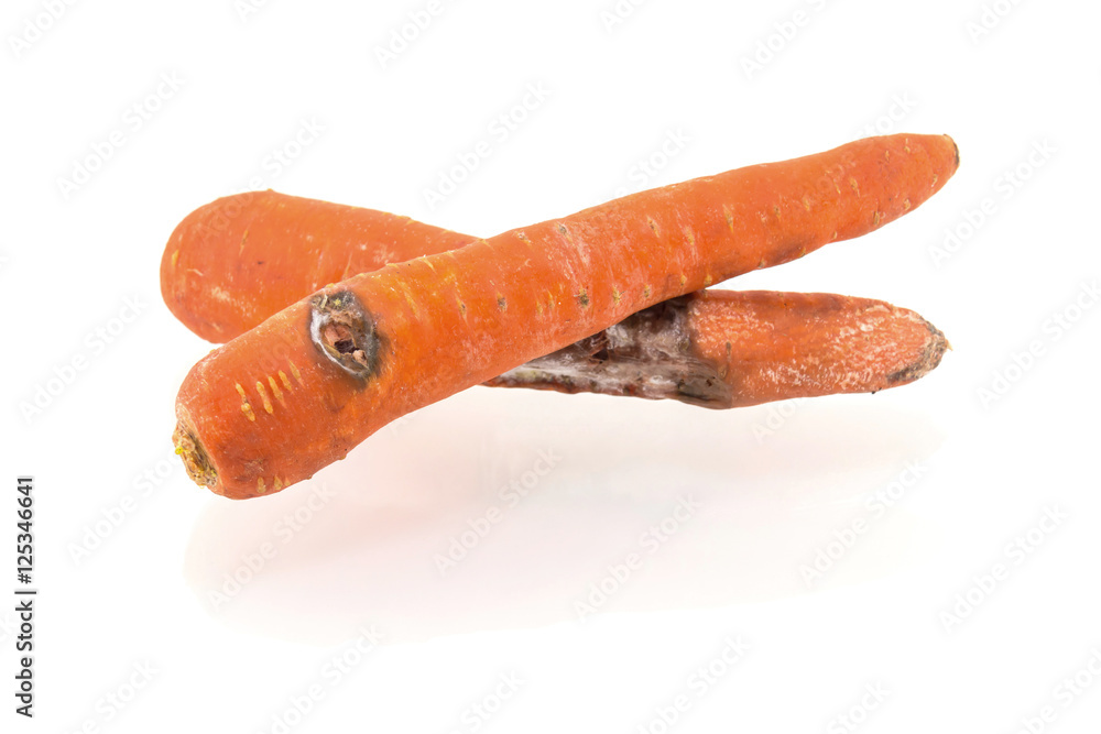 Rotten carrot isolated on white background Stock Photo | Adobe Stock