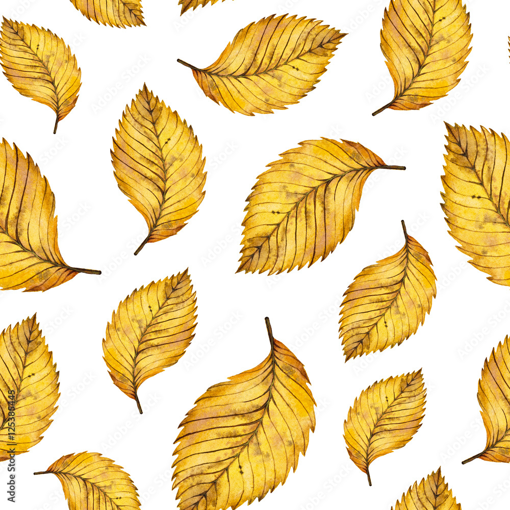 Watercolor seamless pattern autumn yellow leaves of elm, hand painted watercolour autumn ...