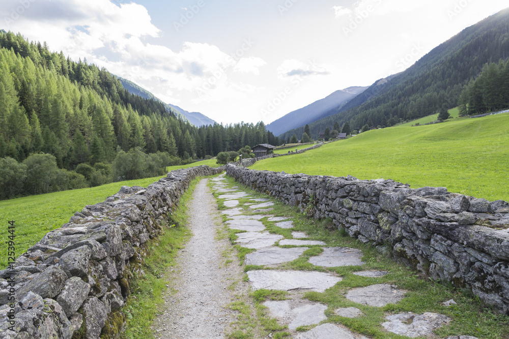 sentiero di montagna con muretto in pietra Stock Photo | Adobe Stock