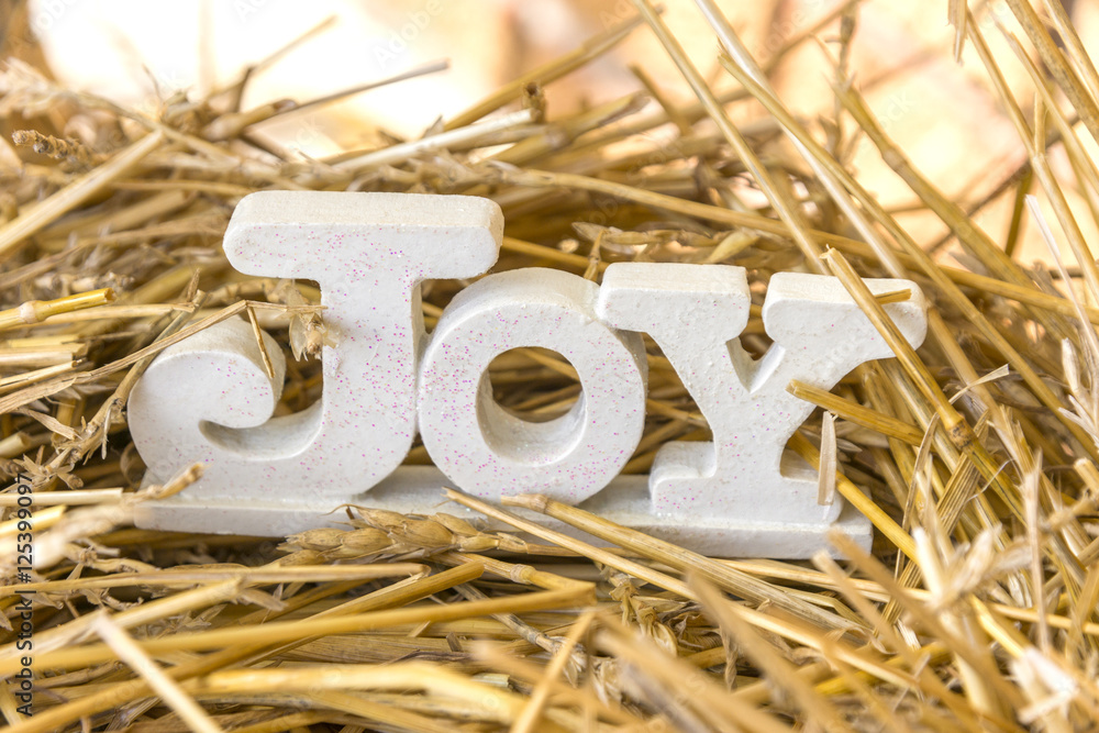 Joy text decoration on a bed of straw with background glow Stock Photo ...