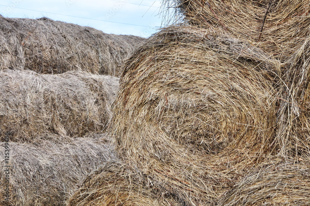 bales of hay lying on the ground Stock Photo | Adobe Stock
