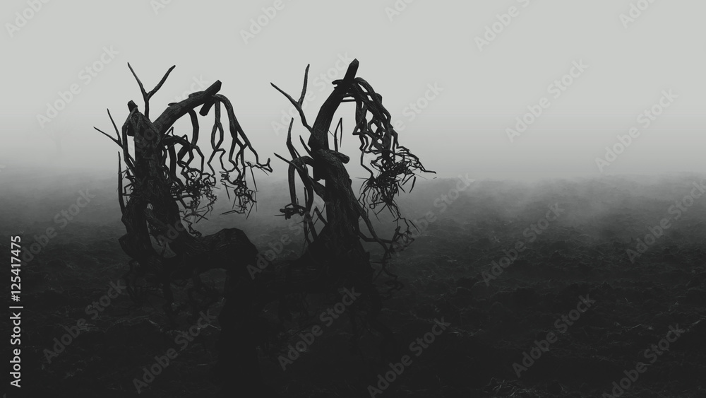 Spooky Tree Dark Night ./Halloween black and white background. Stock ...