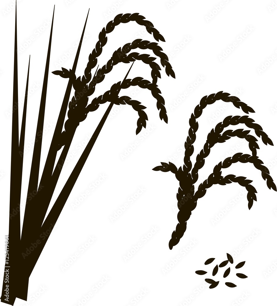Black and white outline of rice, vector illustration Stock Vector ...