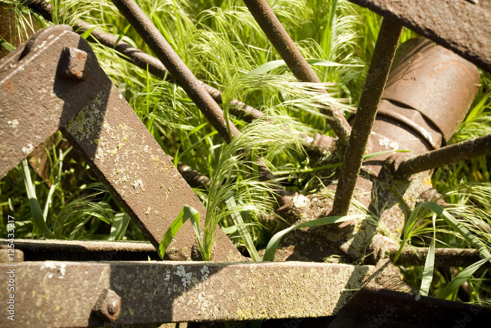 Old Farm Wheel in Tall Grass Stock Photo | Adobe Stock