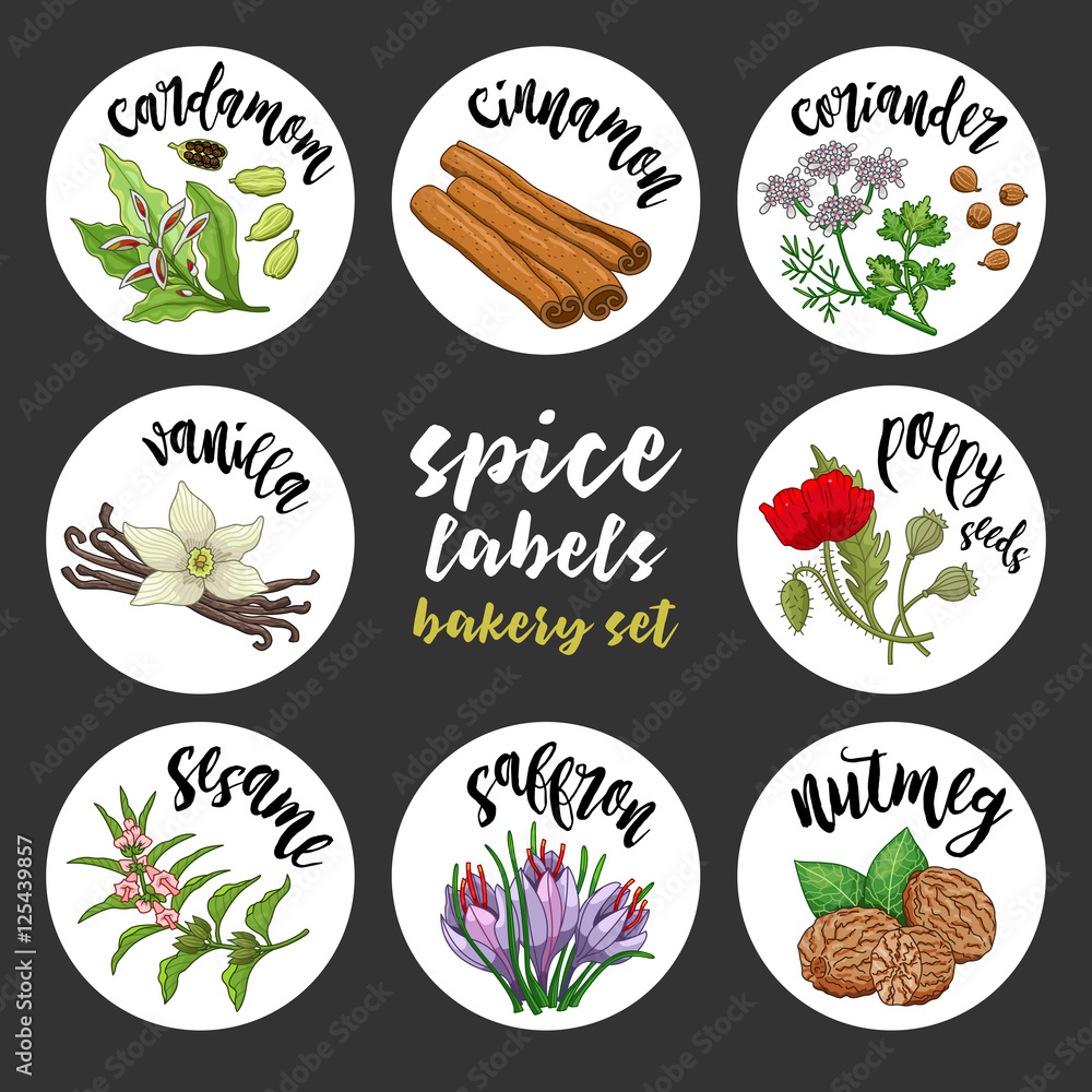 Spices and herbs jar labels and stickers. Colored vector condiment ...