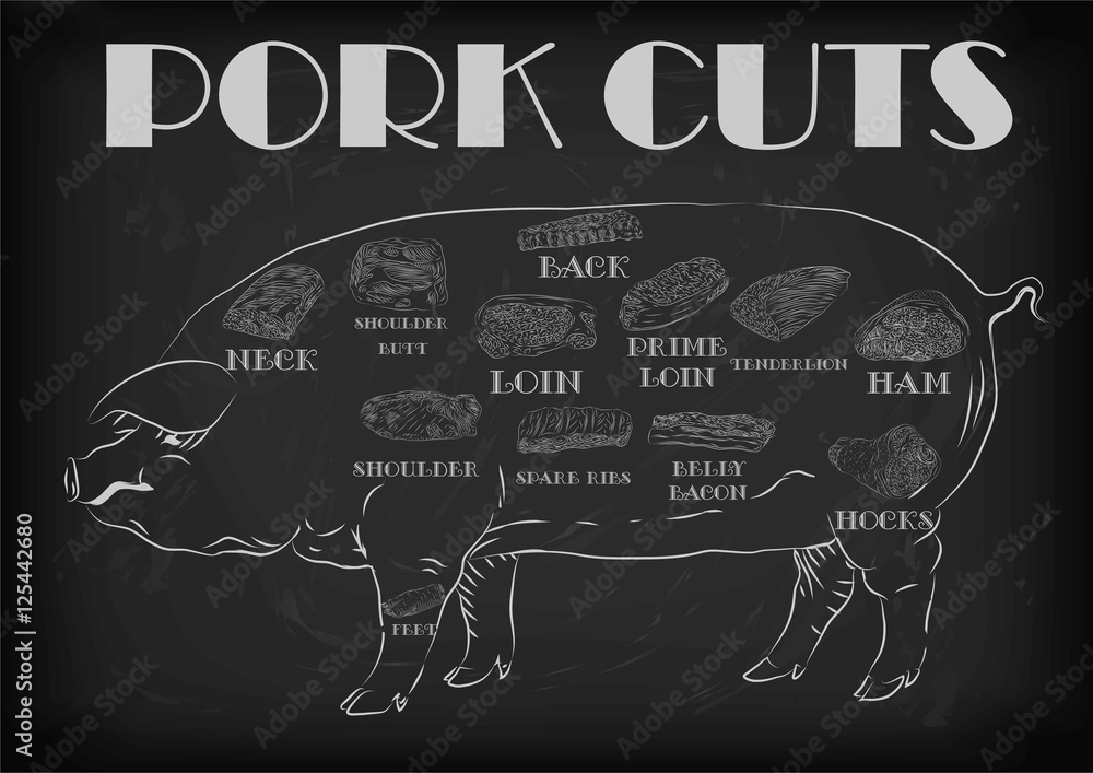 Pork pig side carcass cuts cut parts info graphics scheme sign Stock ...