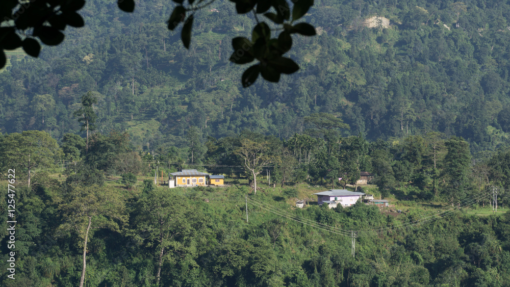 Beauty of Dooars Stock Photo | Adobe Stock