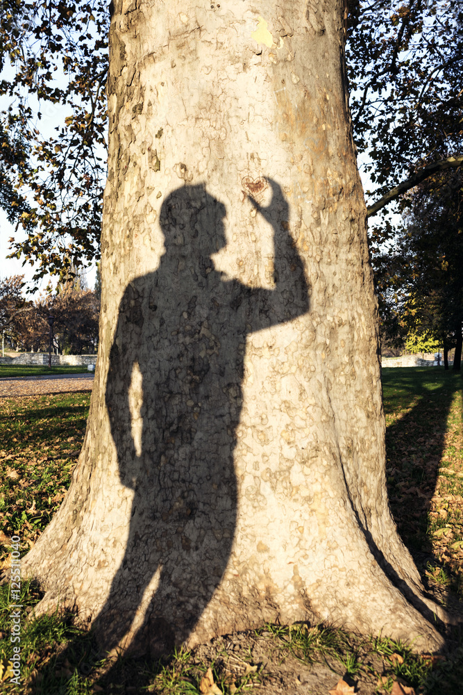 Mans Shadow On A Tree Trunk Stock Photo | Adobe Stock