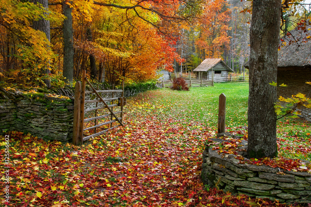 The gates of the old Estonian farm. Farm and Golden autumn. The open ...