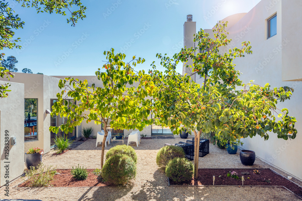 Back Yard Fruit Trees