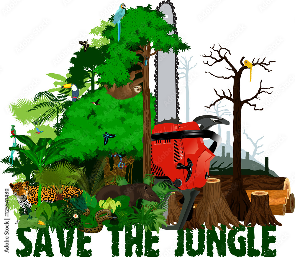 Deforestation jungle vector illustration. Vector Rainforest destroyed ...