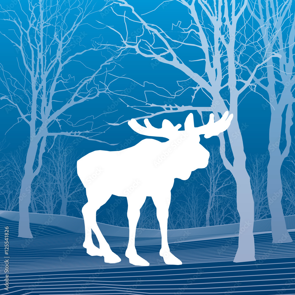 Elk in the forest, animals in the wild, white silhouett and lines on ...