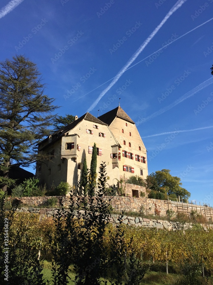 castello castelli vigne vigneti cantine costruzione storica Alto Adige ...