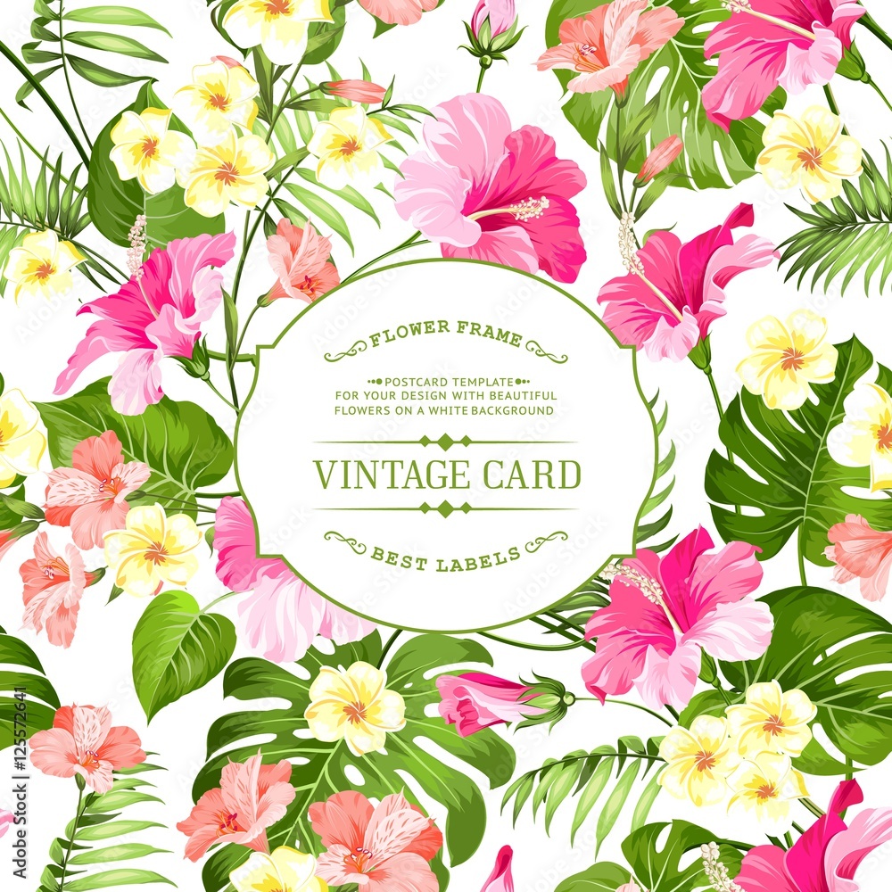 Tropical flowers label for vintage card. Yellow plumeria with text ...
