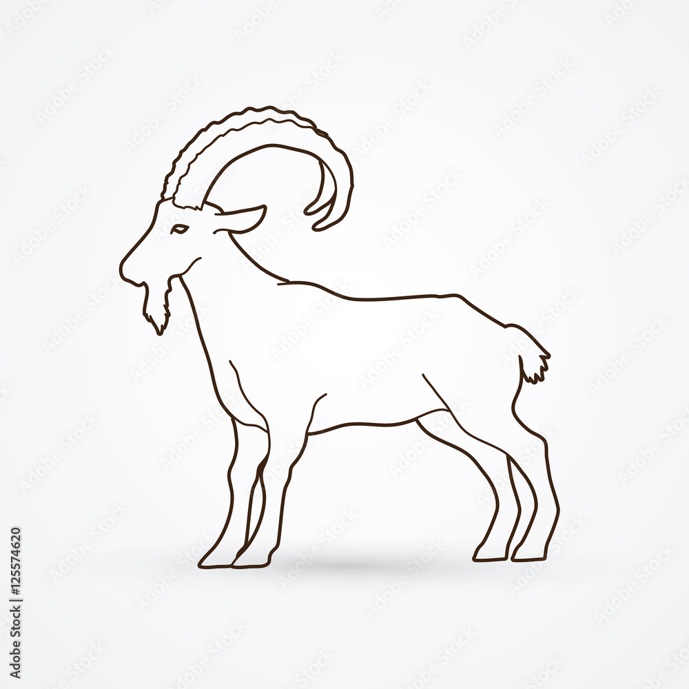 Goat Outline