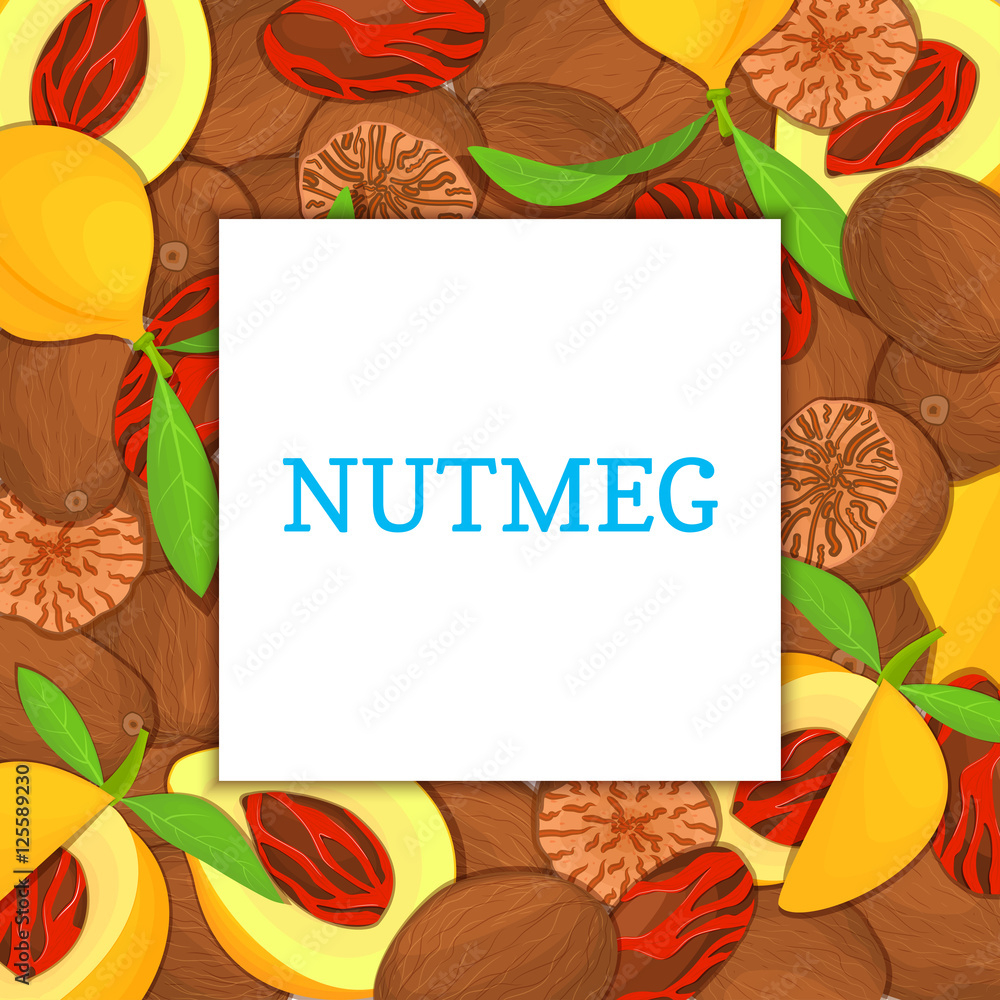 Vecteur Stock The square colored frame composed of Nutmeg spice fruit ...