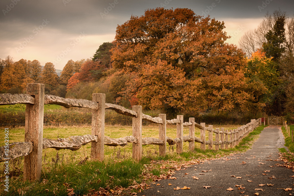 Country Wooden Fence