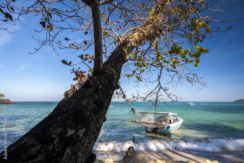 Boat Tied Up With a Tree. Ocean Beach with Blue Sky. Stock Photo ...