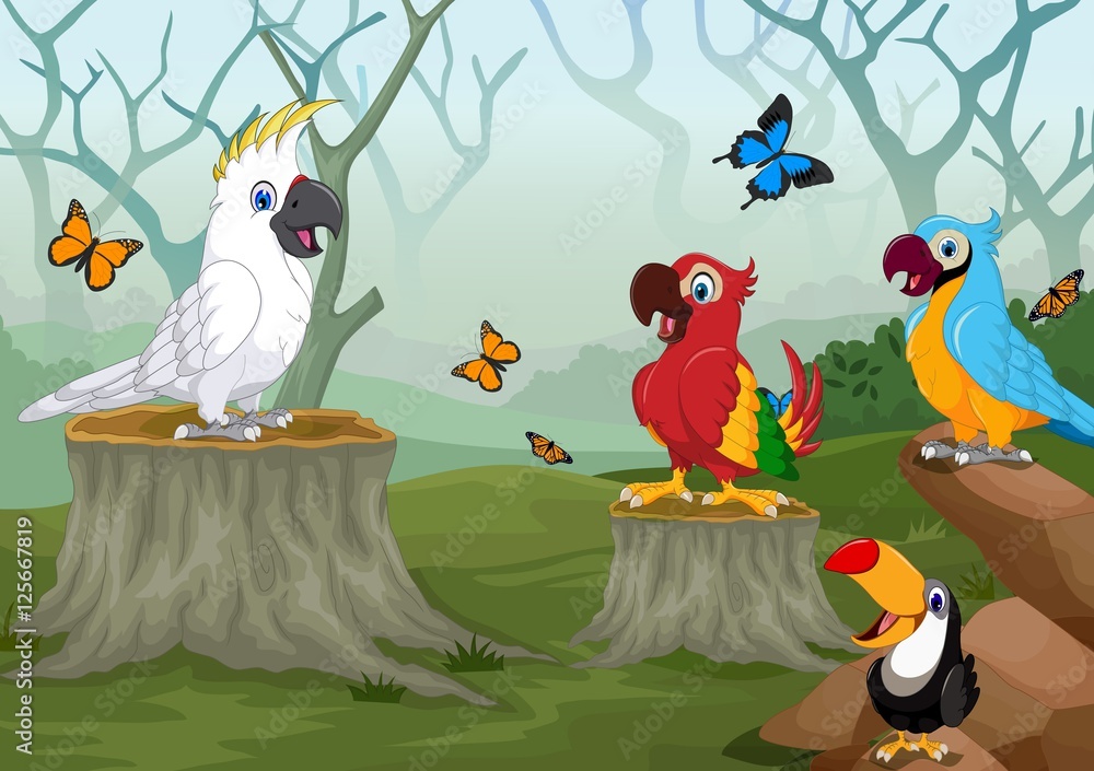 funny birds cartoon with deep forest landscape background Stock Photo ...