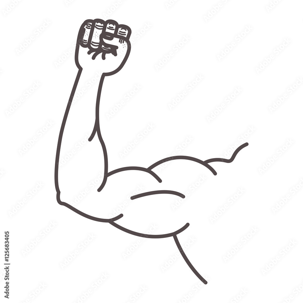 muscle arm and closed fist over white background. sport and exercise ...