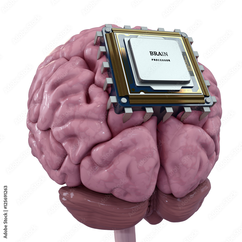 Human brain with computer processor isolated on white. Concept 3 Stock ...