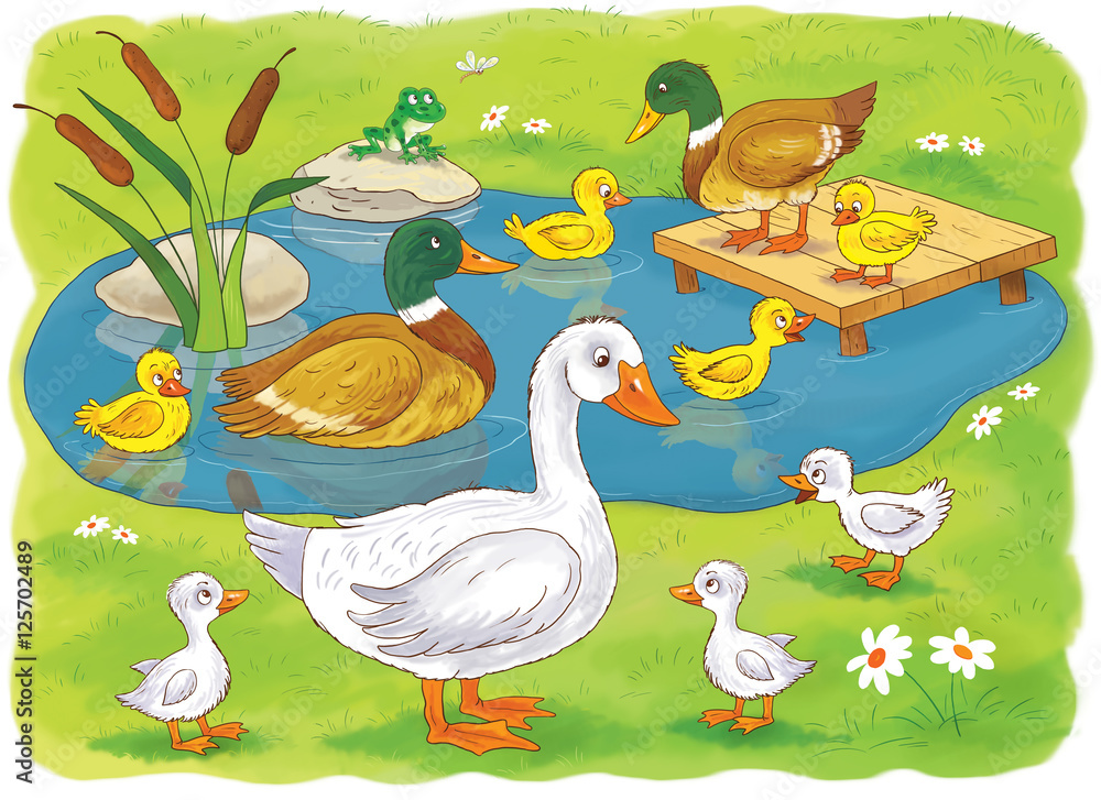 At the farm. Domestic animals. Cute duck and ducklings in the pond ...