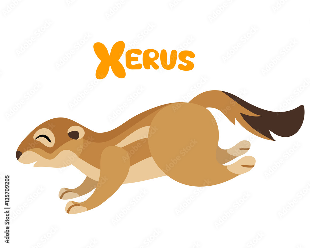 Vector letter X xerus for children alphabet cute animal illustration ...