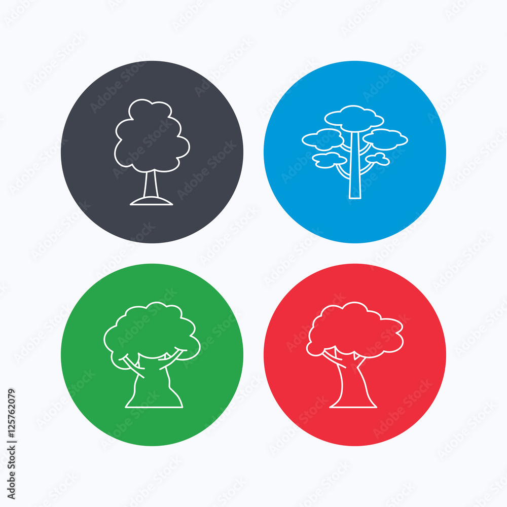 Pine tree, oak-tree icons. Forest trees linear sign. Linear icons on ...