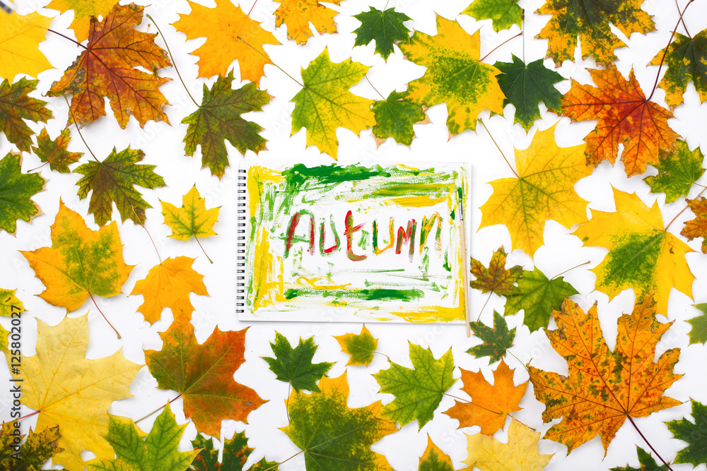 Word autumn in an album with autumn leaves Stock Photo | Adobe Stock