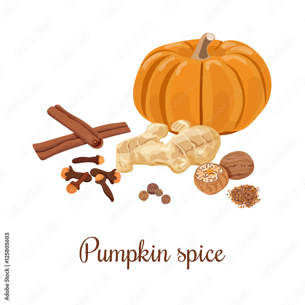 Pumpkin spice. Vector illustration Stock Vector | Adobe Stock