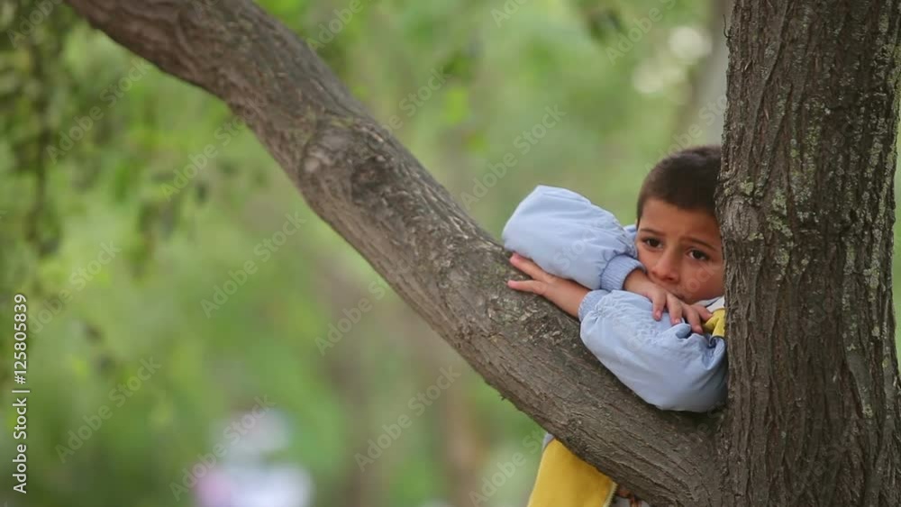 boy leaning on a tree Stock Video | Adobe Stock