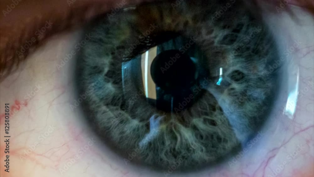 Video Stock Zoom in a human eye. | Adobe Stock