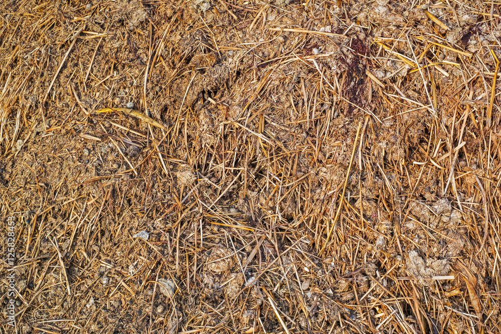 Organic Fertilizer made by dry cow dung, manure foto de Stock | Adobe Stock