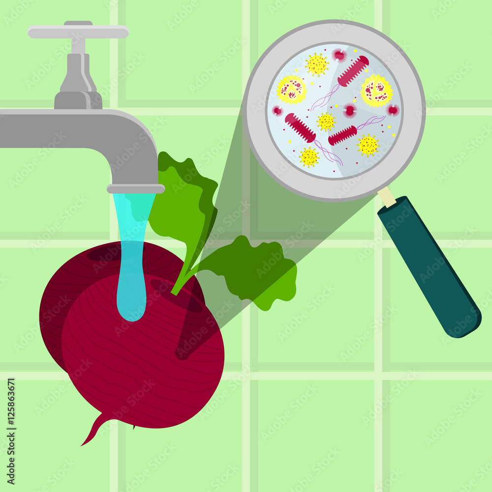 Contaminated beet being cleaned and washed in a kitchen. Microorganisms ...