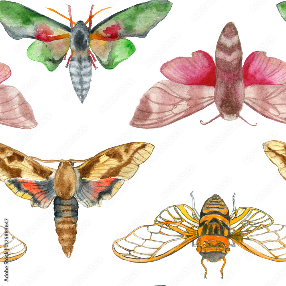 Watercolor seamless pattern with moth or sphingidae on white ...
