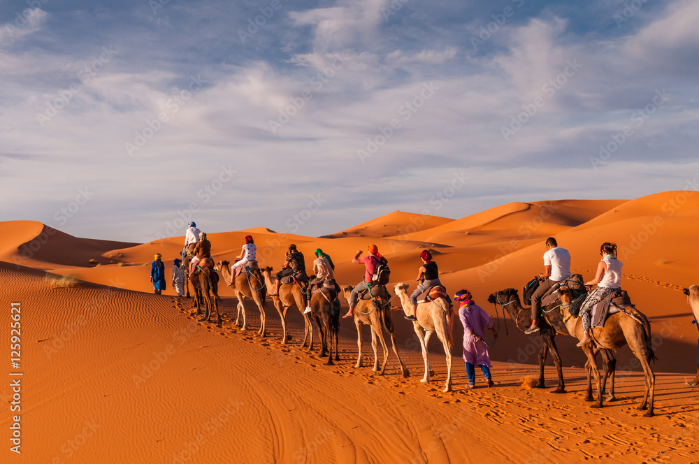 Karawane in den Dünen der Sahara bei Merzouga (Erg Chebbi); Marokko ...