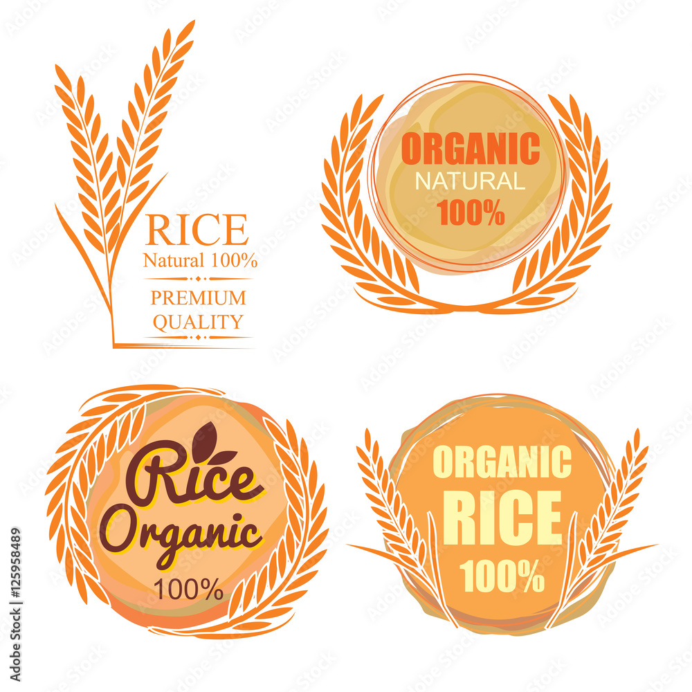 grain organic natural product with black background. concept vector ...