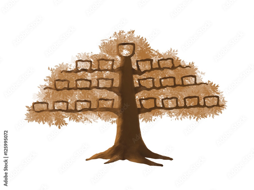 Family Tree Hierarchy Chart Structure Diagram Stock Illustration ...