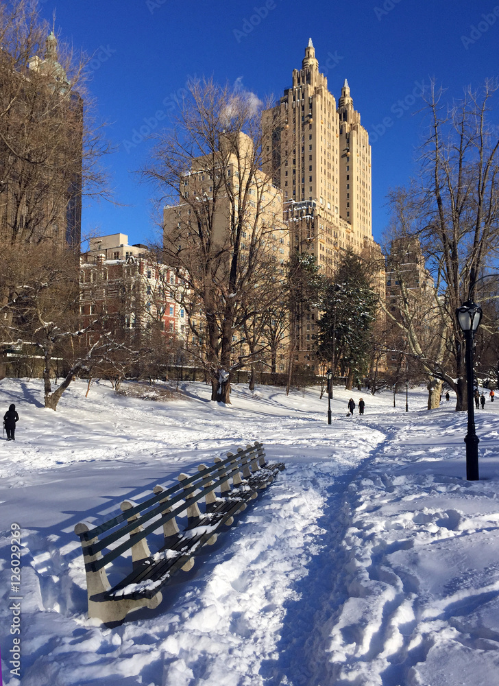 Sunny Winter Day