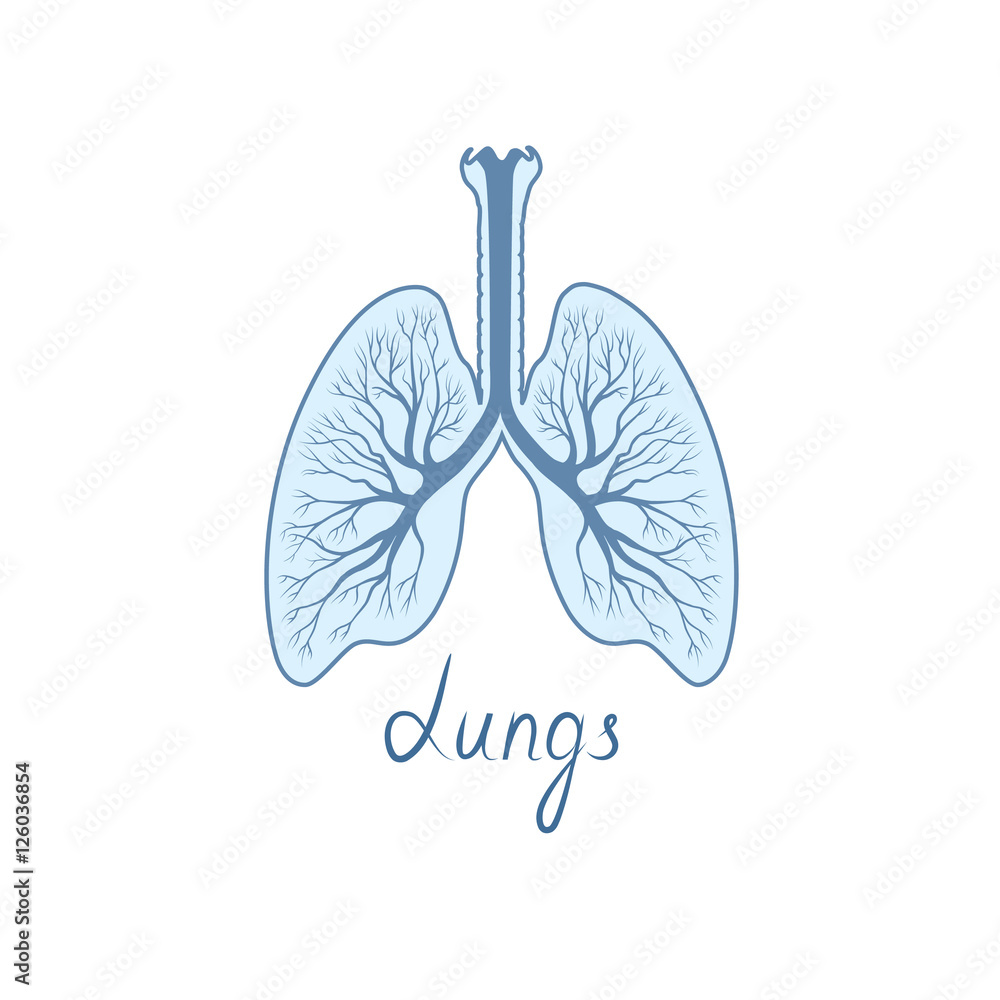 Lungs sign. Human internal organ anatomy icon with handwritten ...