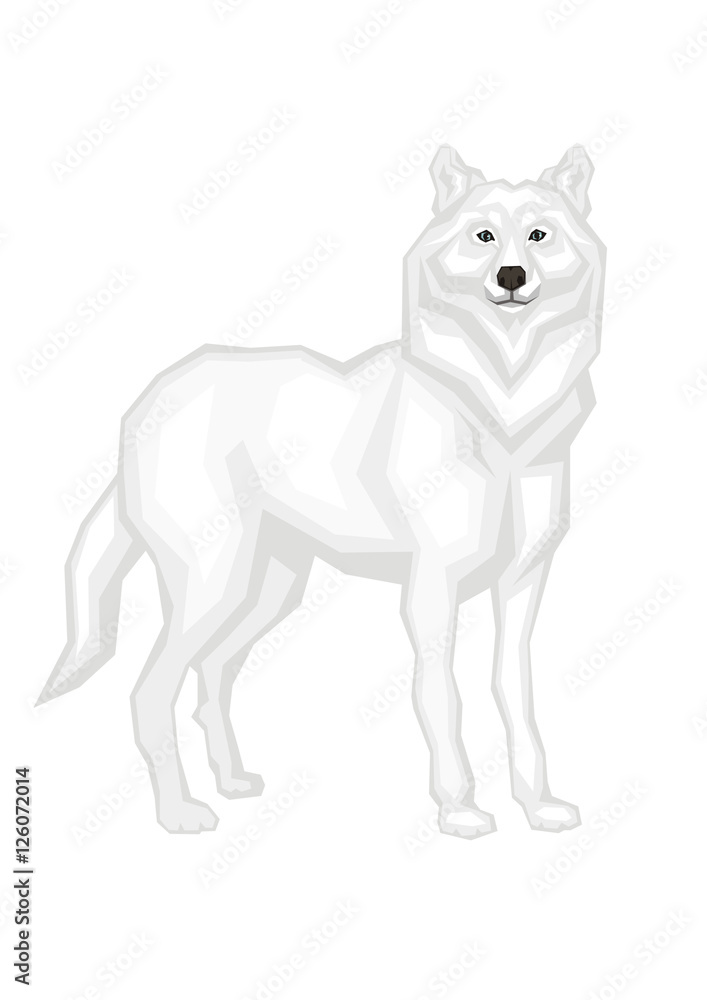 The big Arctic wolf. Vector image of a predatory animal. Isolated on a ...