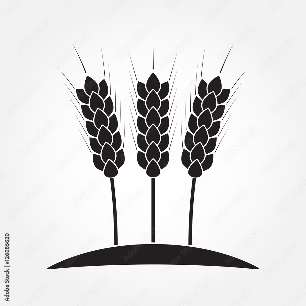 Wheat ears or rice icon. Agricultural and crop symbols isolated on ...