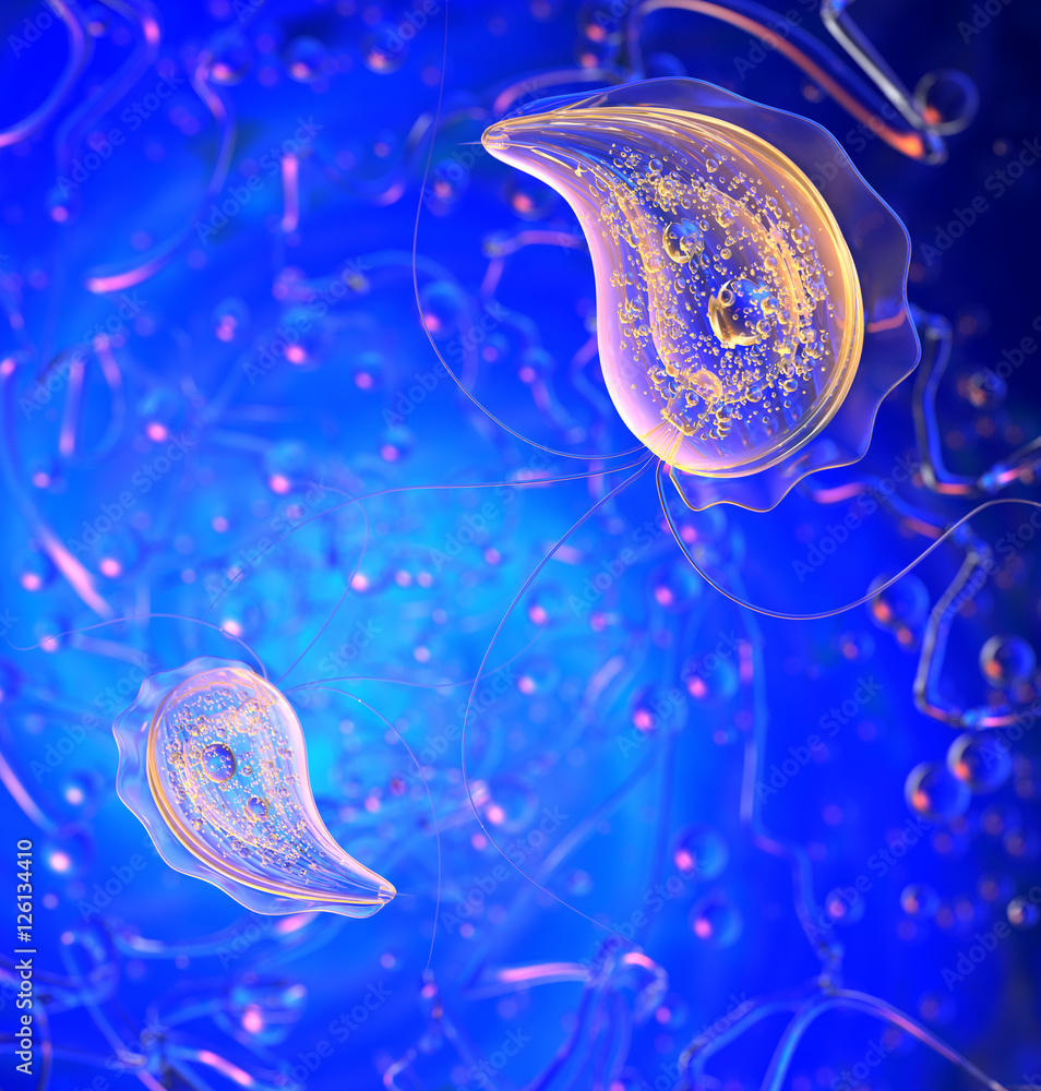 Trichomonas vaginalis on colorful background. Sexually transmitted ...